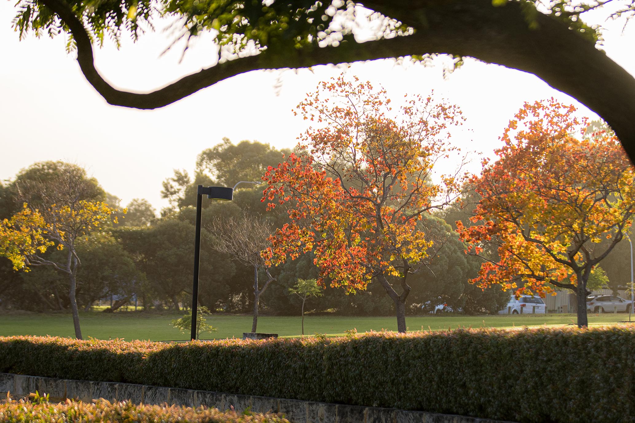 Fees notice | St Stephen's School