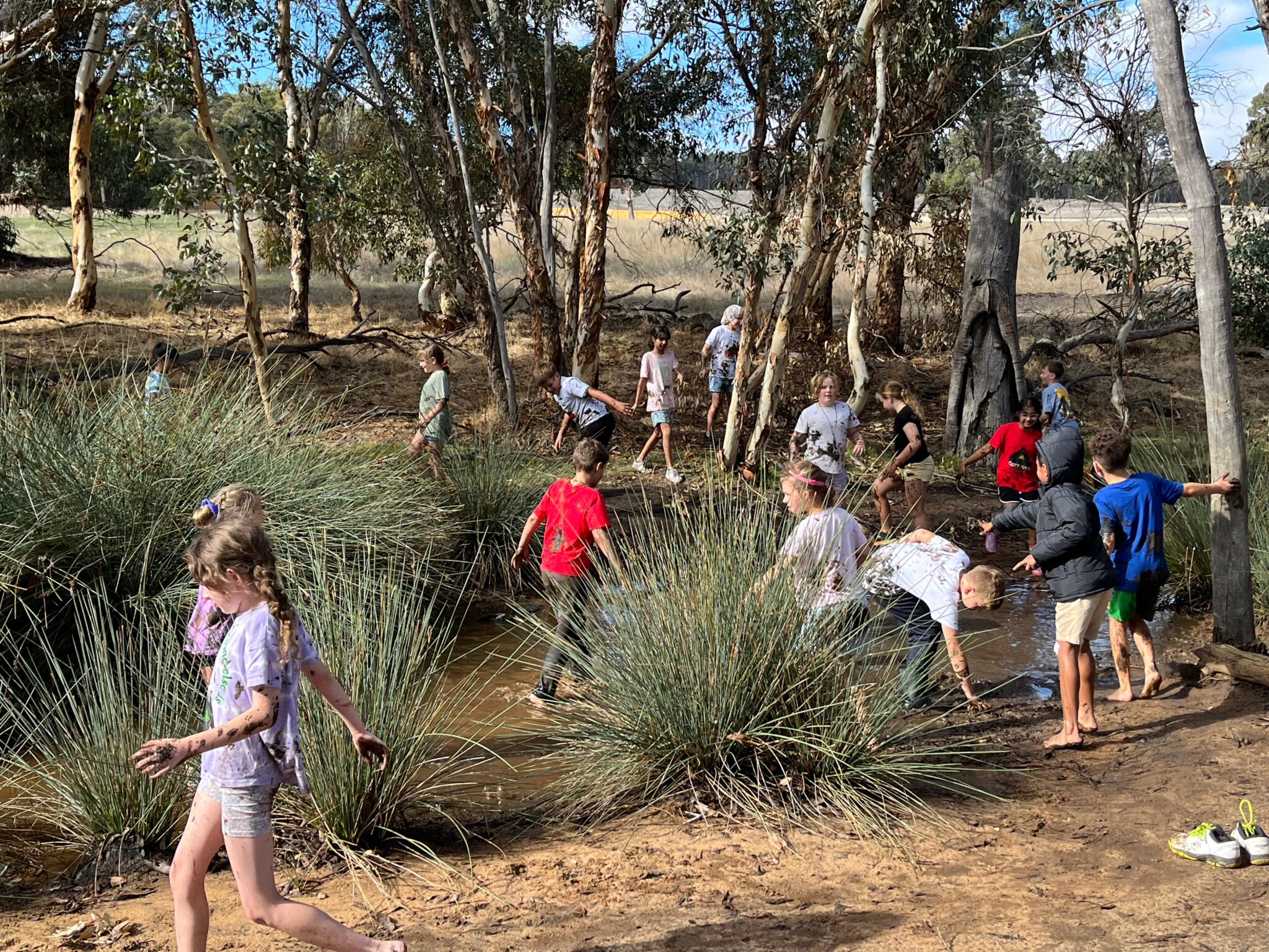 More Than Toasting Marshmallows: The benefits of school camps | St ...